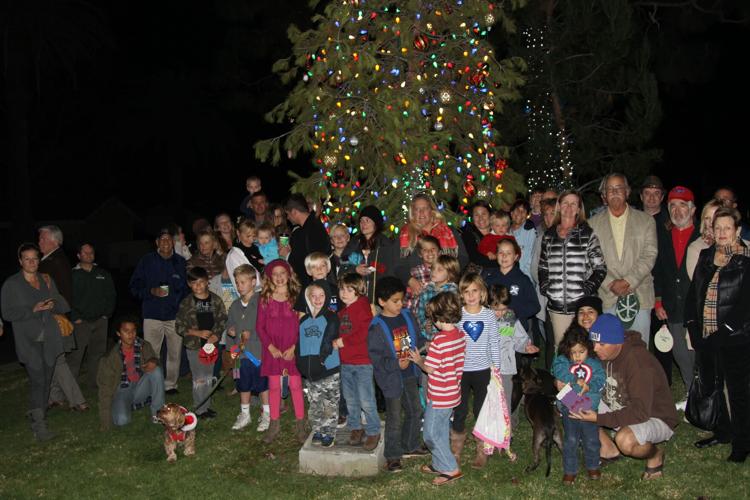 Capo Beach Christmas Tree Felled Due to Disease | DP Living ...