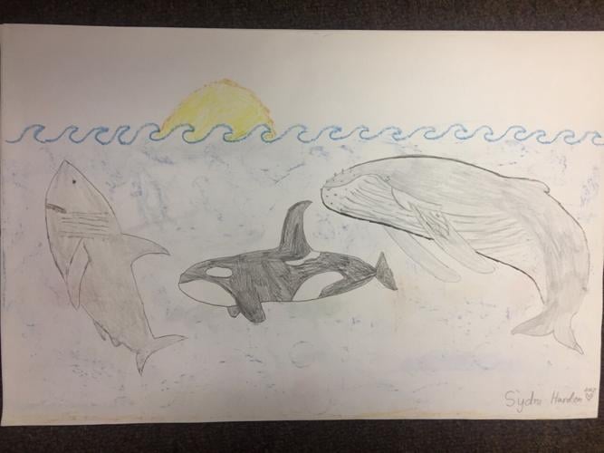 Grand Prize Winner Named in Wyland Art Contest | Eye on DP ...