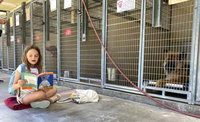 Animal Shelter Program Provides Learning and Quiet to Children, Pets ...
