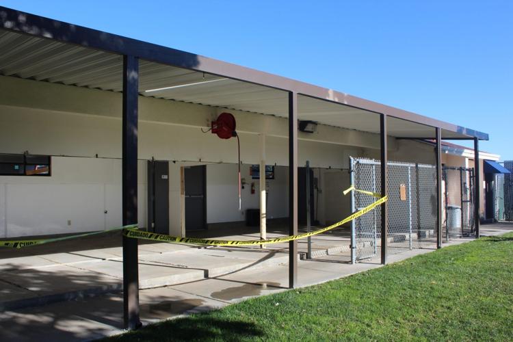 Pet Project Foundation Provides $350K for Renovation to Local Animal ...