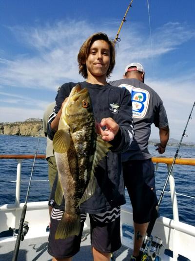 Dana Wharf Fish Count: Bass is the name of the game | Sports & Outdoors ...
