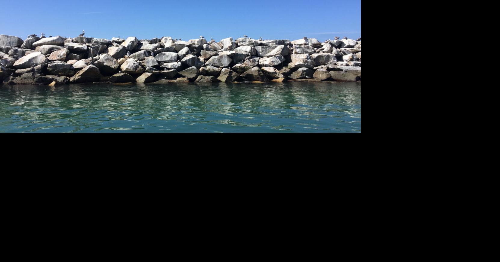 Lifeguards Awarded for Dana Point Jetty Rescue | | picketfencemedia.com