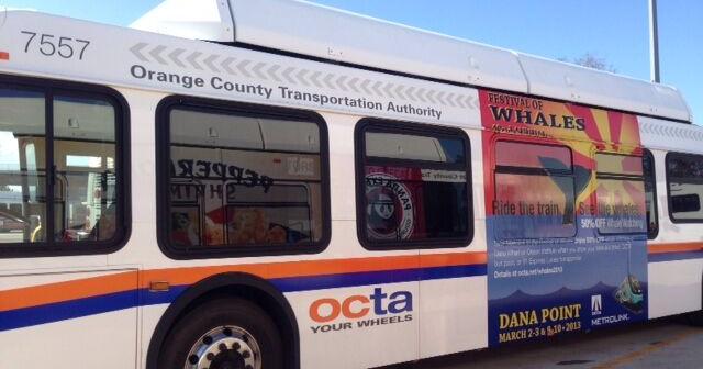 OCTA Offers Free Bus Rides for New Year | | picketfencemedia.com