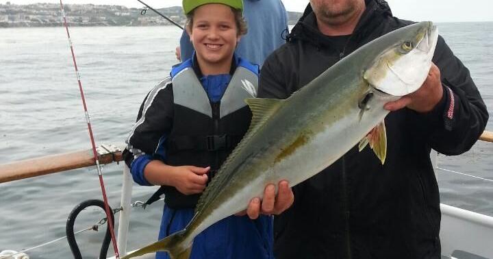 Outdoor Spotlight: Dana Wharf Fish Count | | picketfencemedia.com
