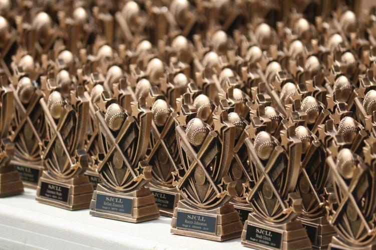 Tribute to Character: Little League Awards First Dave Rosa Awards in ...