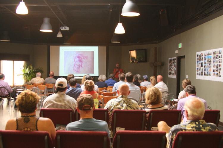 Doheny Village: A Design for the Future | Eye on DP | picketfencemedia.com