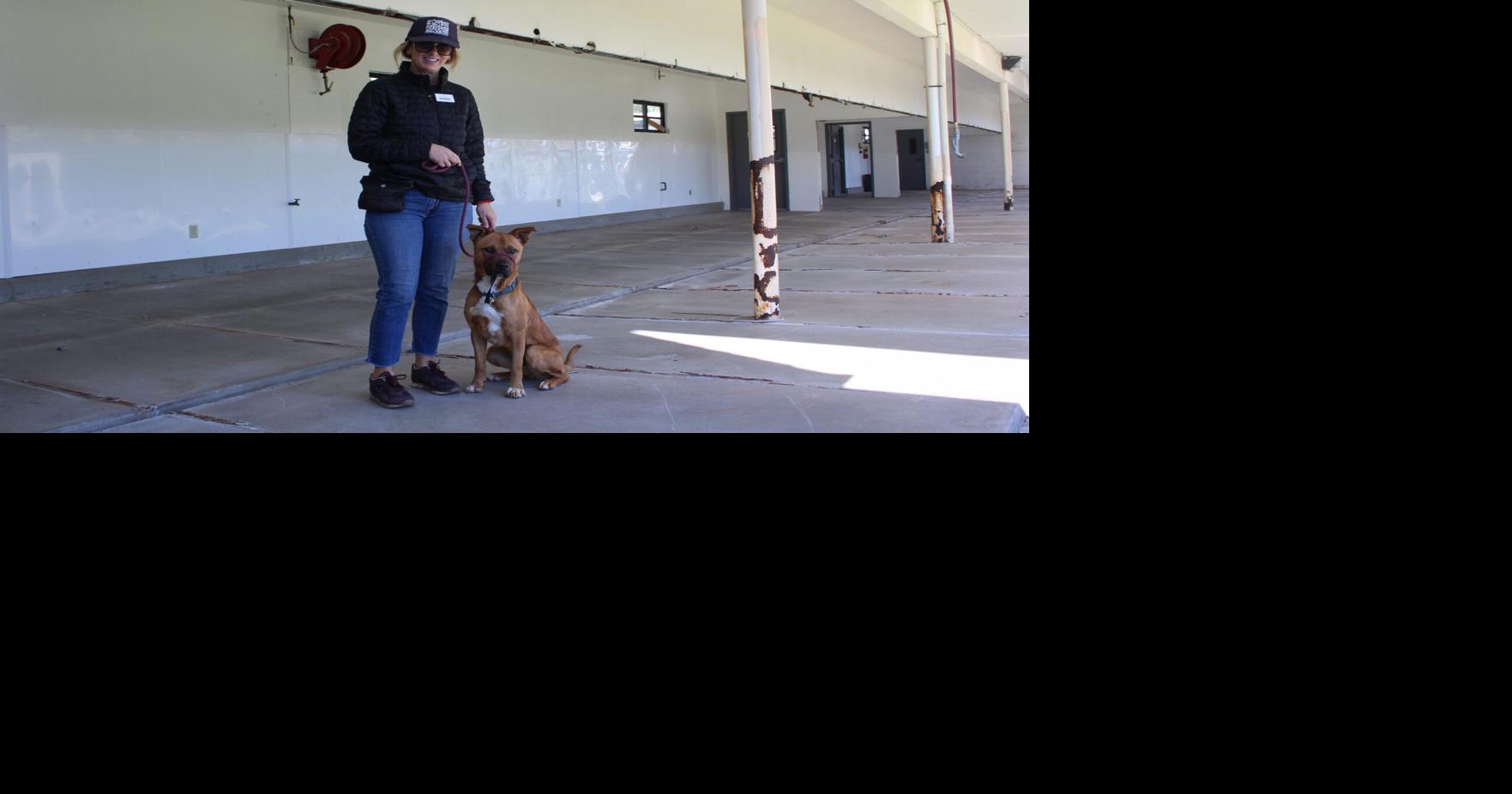 Pet Project Foundation Provides $350K for Renovation to Local Animal ...