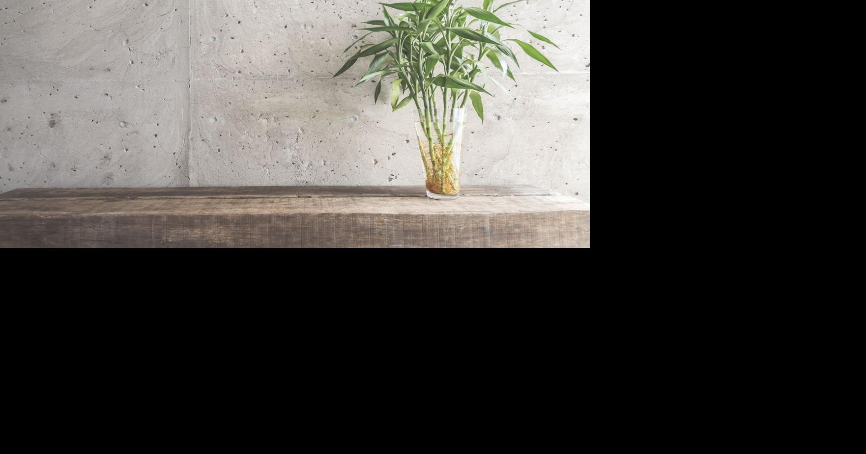Calming Design: Five Ways to Create Relaxing Spaces Without Breaking ...