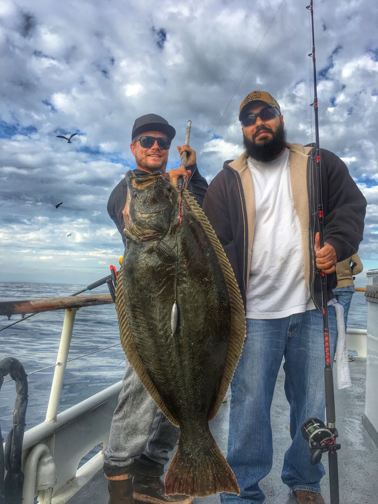 Dana Wharf Fish Count | | picketfencemedia.com