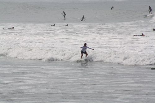Photos: Doheny Surf Festival Takes Over Doheny State Beach | DP Living ...