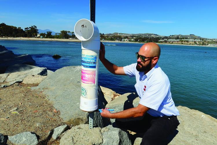 Harbor Groups Take on Green Initiatives | Eye on DP | picketfencemedia.com