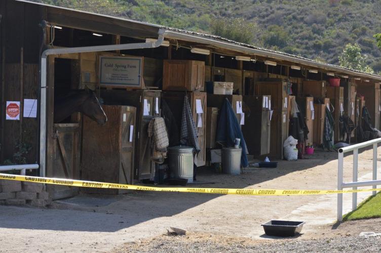 Horse Stable in San Juan Capistrano Quarantined For Equine Herpesvirus ...