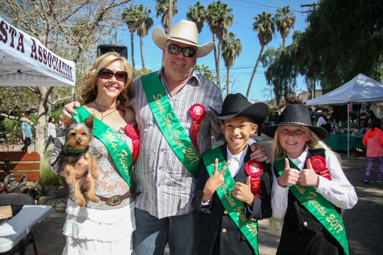 Local Alpaca Earns Coveted Spot in Swallows Day Parade | Eye on SJC ...