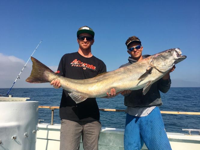 Dana Wharf Fish Count: Temperatures Warm Up the Bass | Sports ...