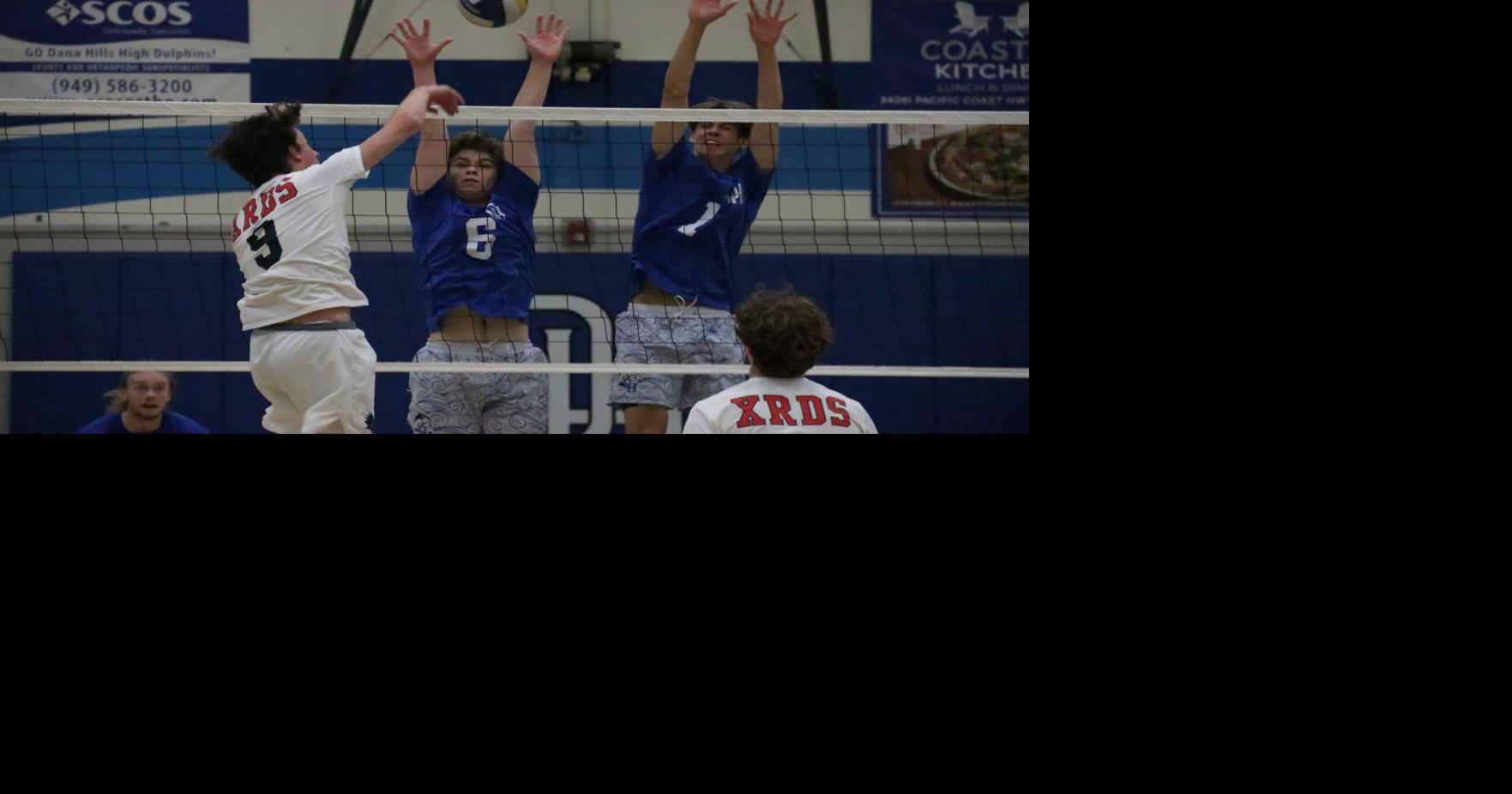 Dolphin Report: Boys Volleyball Bounce-Back Playoff Run Ends in ...