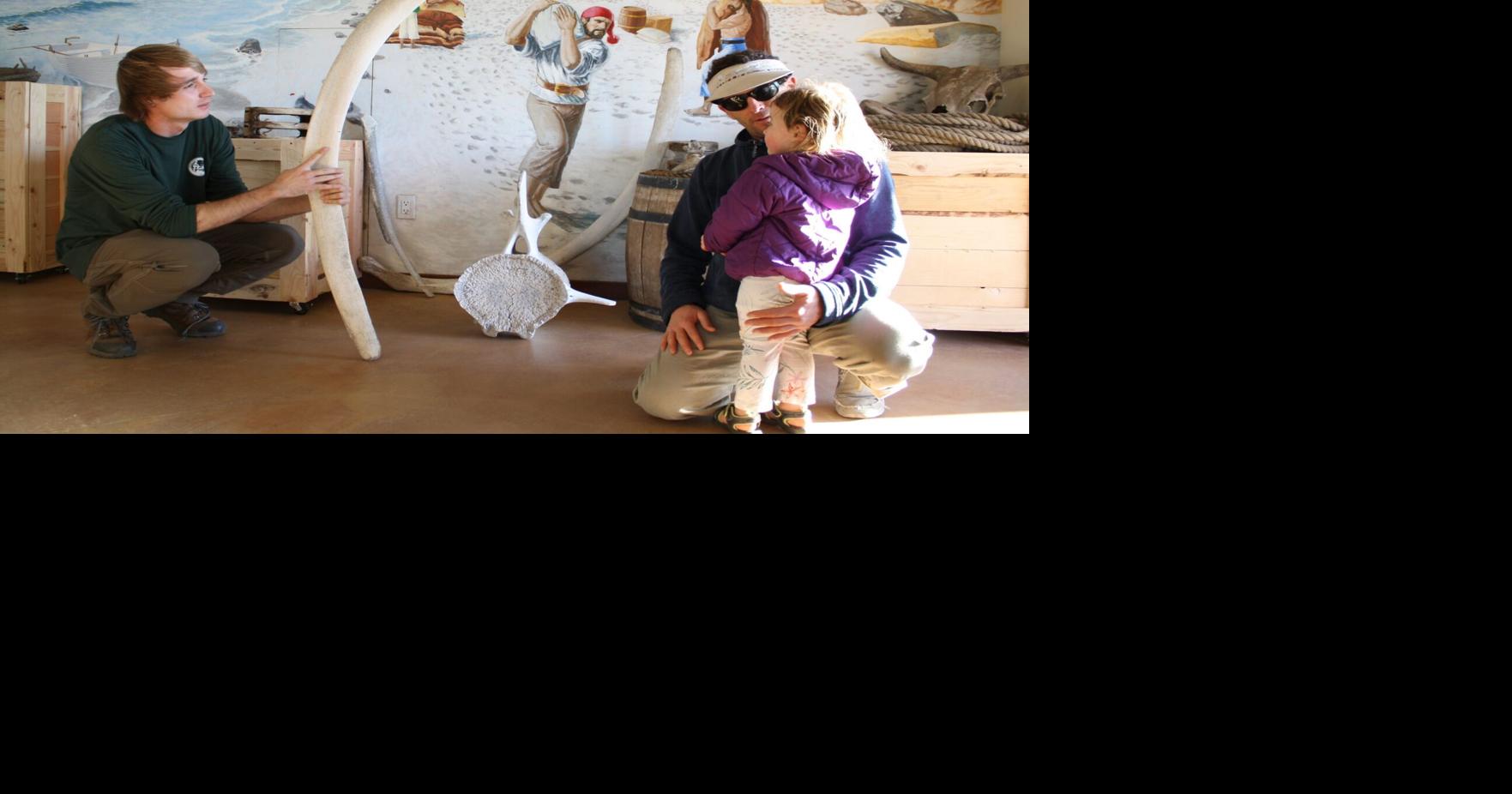 A Look inside the Dana Point Nature Interpretive Center | DP Living ...