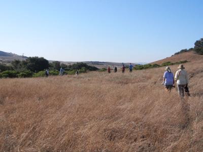 Rancho Mission Viejo's Nature Reserve Welcomes Prospective Volunteers ...