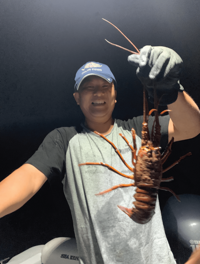 2 Trials, 2 Fates: Inside the Dana Point Harbor Murder Case ...