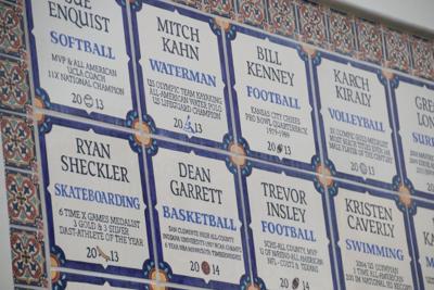 Drummy, Laster, Butler Named to SC Sports Wall of Fame | Eye on SC ...