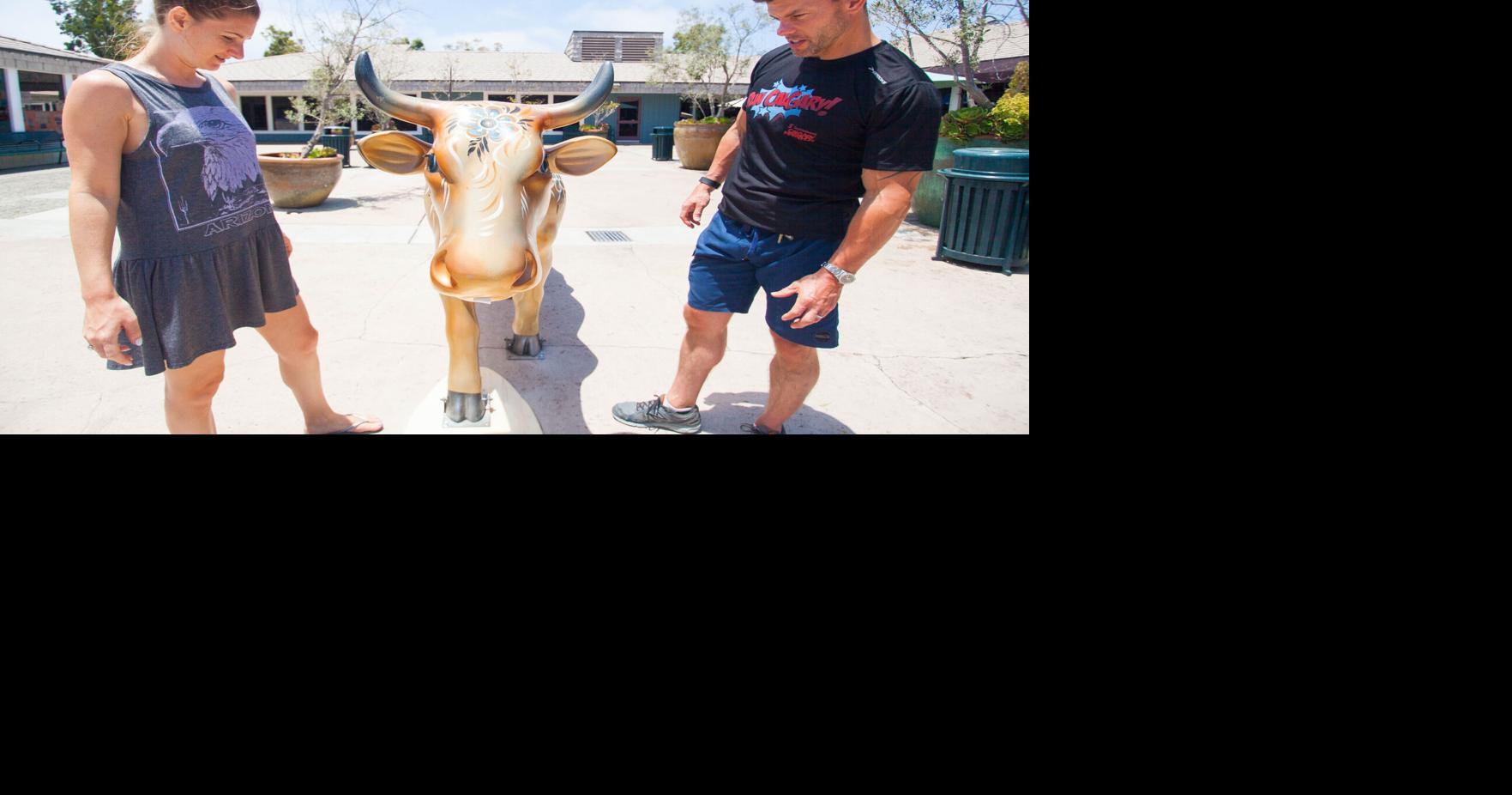 Holy Cow: The Statues Have Arrived | | picketfencemedia.com