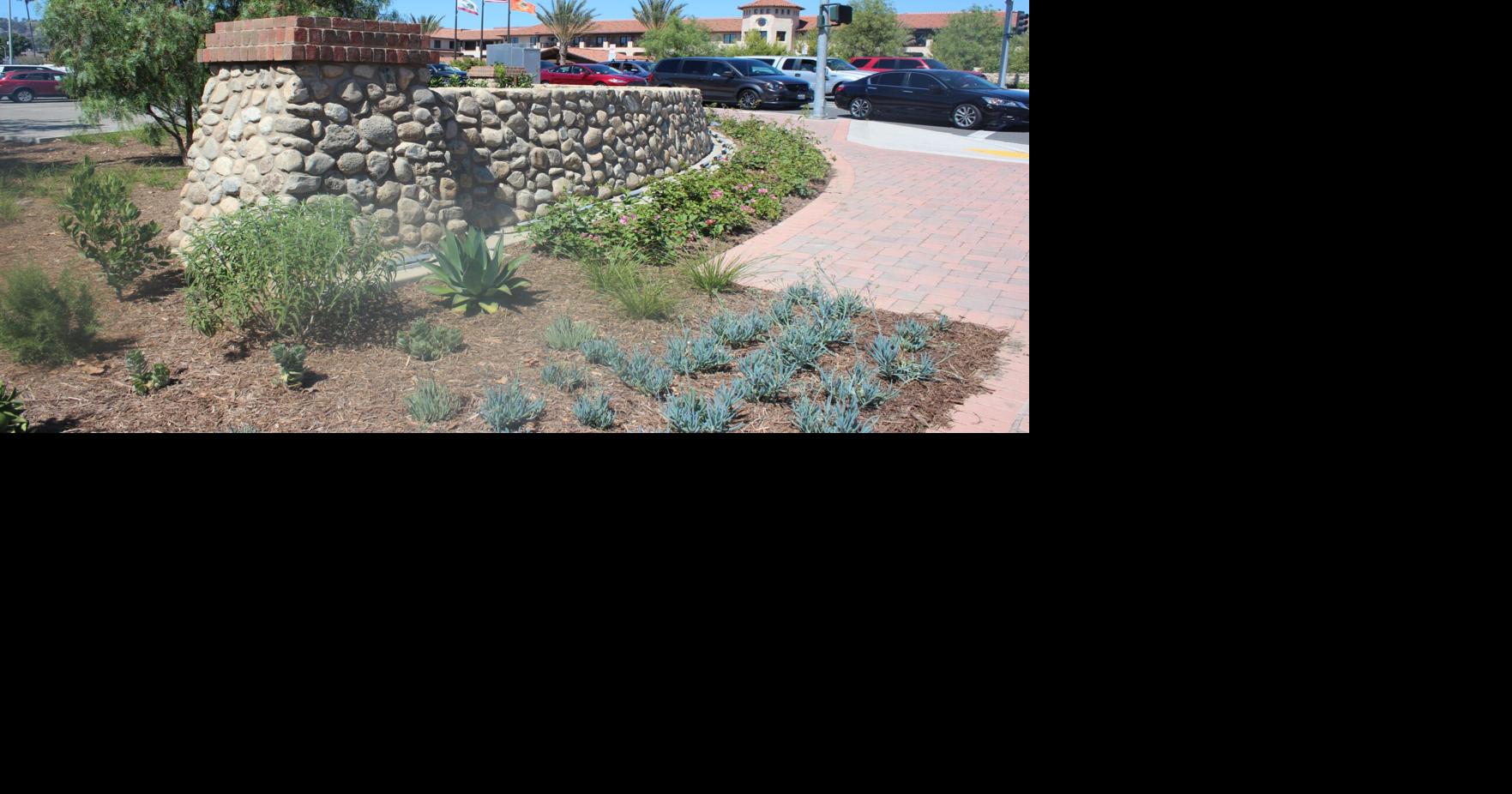 PHOTO GALLERY: Gateway Landscaping Project Finishes Up | Eye on SJC ...