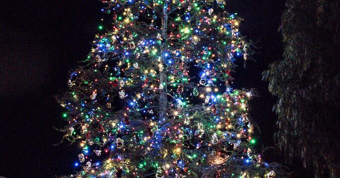 First Christmas Tree: Mission San Juan Capistrano Hosts First Christmas ...