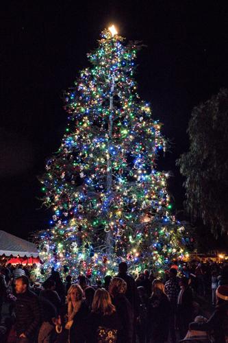 First Christmas Tree: Mission San Juan Capistrano Hosts First Christmas ...