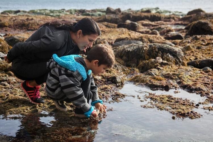 Tide Pool Hikes at Ocean Institute: ‘Explore the World Between the ...