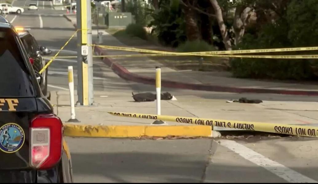 Student, 13, Struck and Killed by Alleged Hit-and-Run Driver in Dana ...