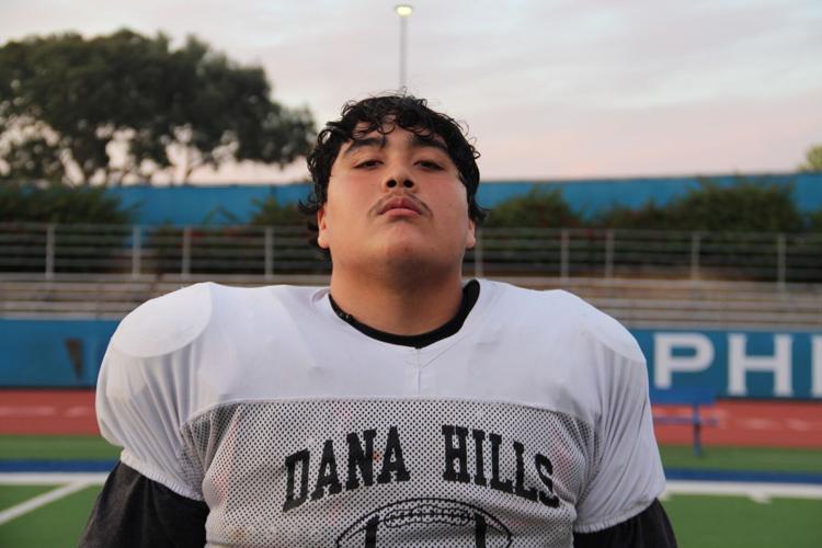 2023 Dolphin Football Preview: Schedule, Game Previews | Dolphin ...