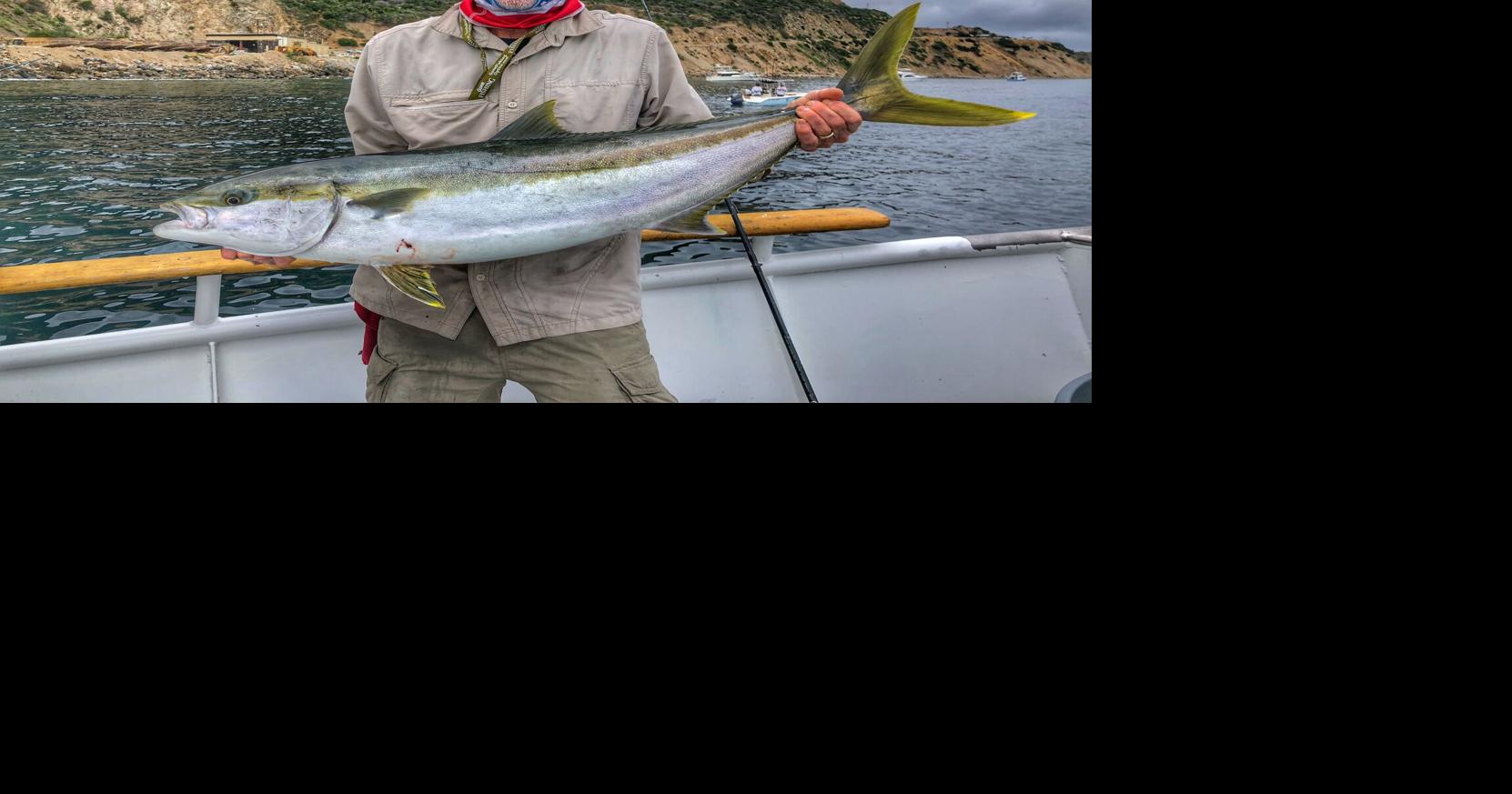 Dana Wharf Fish Report: Summer Catches Pick Up Despite June Gloom ...