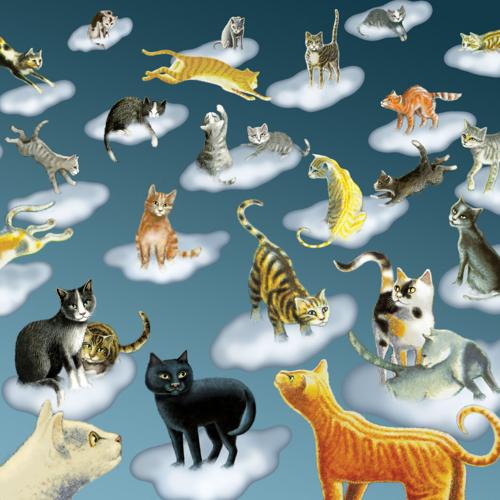 ‘A Cat Never Tells’: Local author and artist Laura Seeley makes foray ...
