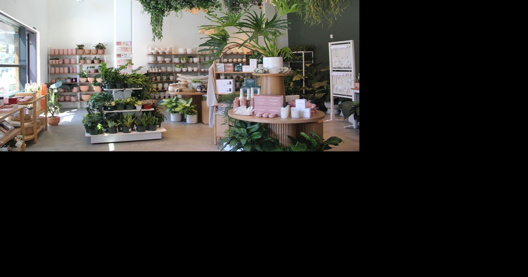 3 New Businesses Open in Prado West | | picketfencemedia.com