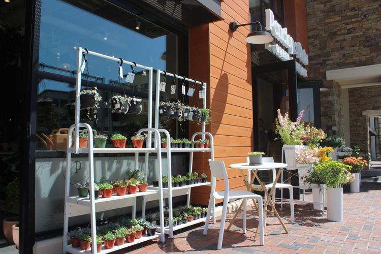 3 New Businesses Open in Prado West | | picketfencemedia.com