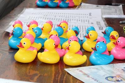 San Clemente Ocean Fest: Results from the ‘Great Rubber Duck Race’ | SC ...