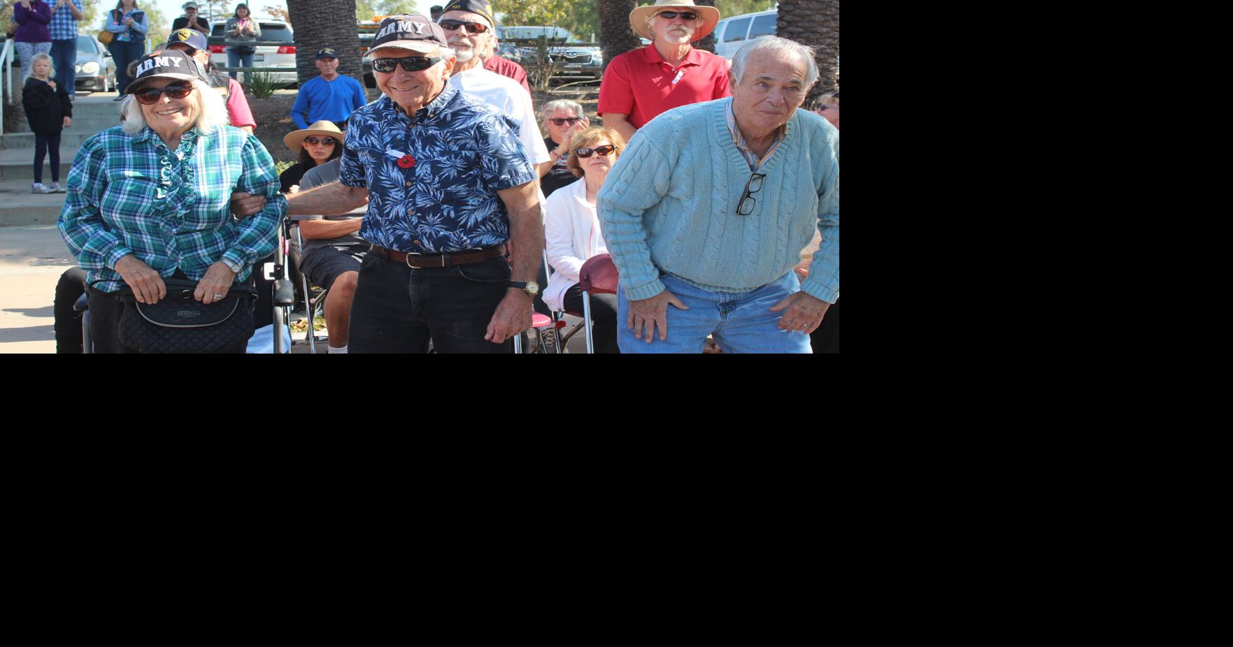 Rep. Levin’s Veteran Legislation Officially Becomes Law | Eye on SJC ...