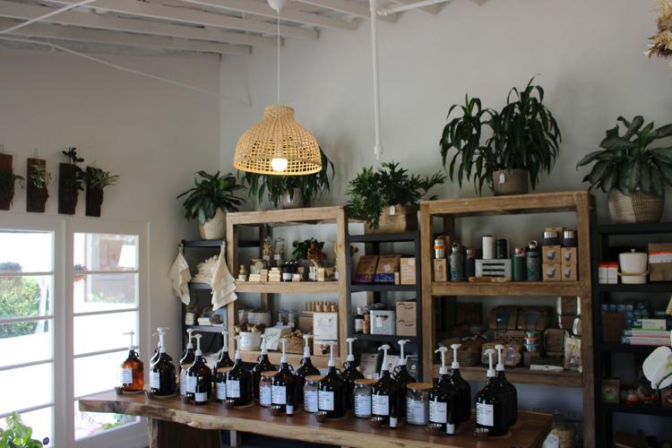 Business Beat: Terra Looks to Protect Earth with Clean Products ...
