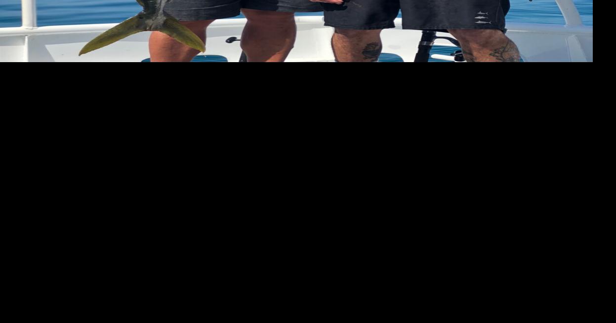 Dana Wharf Fish Count: Bass Still the Catch of the Summer | Sports ...