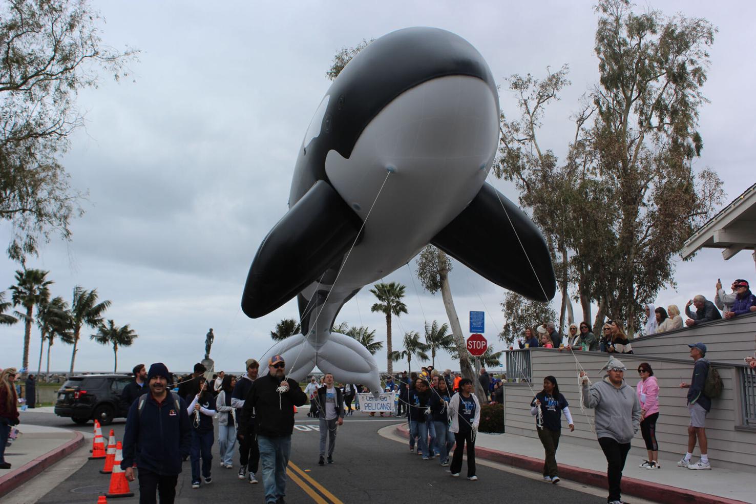53rd Annual Festival of Whales Throws Wider Net | Eye on DP ...