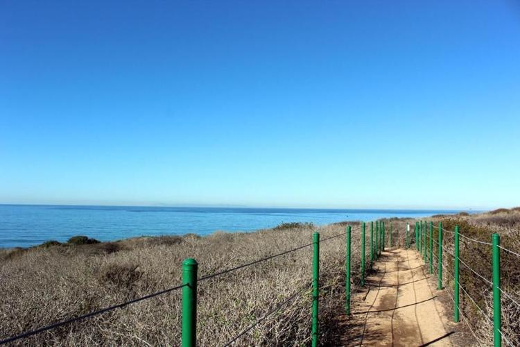 Rip Curl Dana Point