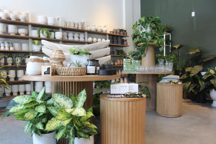 3 New Businesses Open in Prado West | | picketfencemedia.com