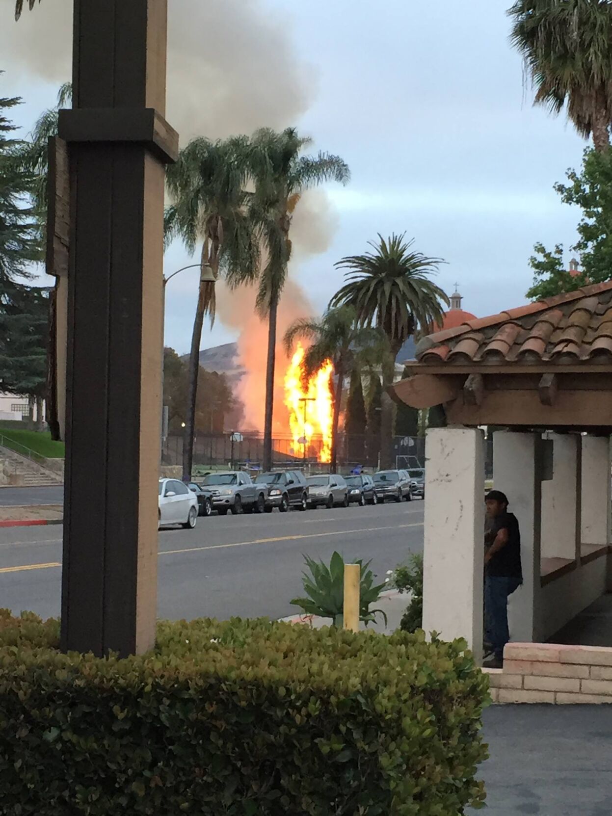 Two Cypress Trees Catch Fire Downtown, OCFA Investigating Cause | Eye ...