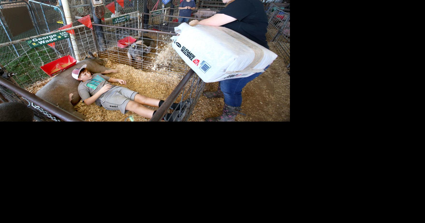 Pinal County Fair 3/20/19 | Featured | pinalcentral.com