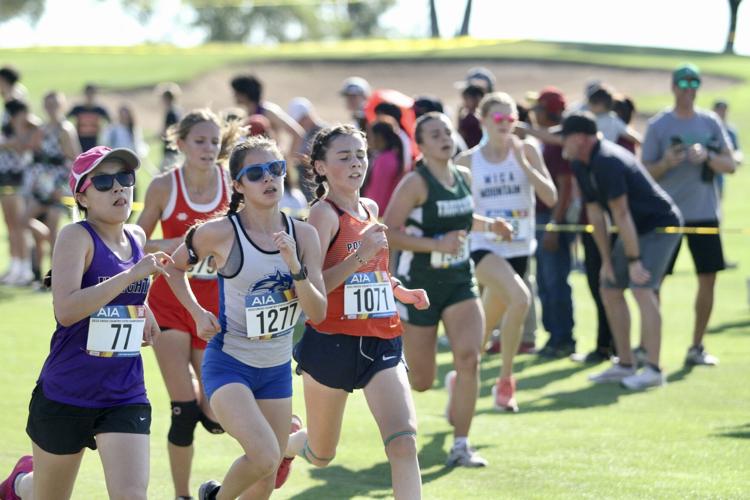 Broncos exceed expectations at state cross country meet | Sports ...
