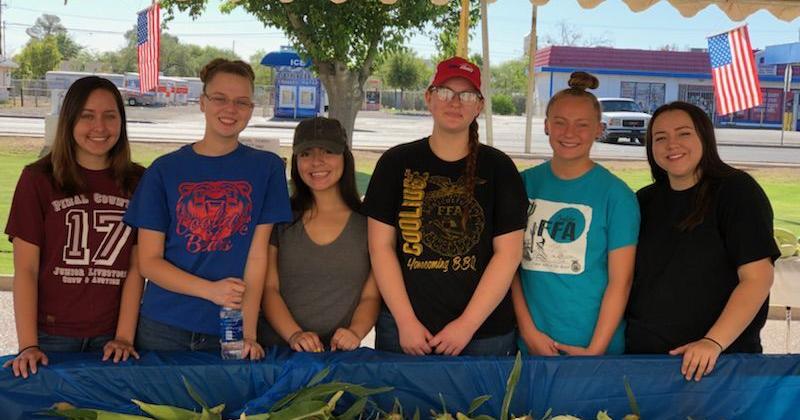 In Pinal, farmers plant with warm weather in mind | Pinal Ways ...