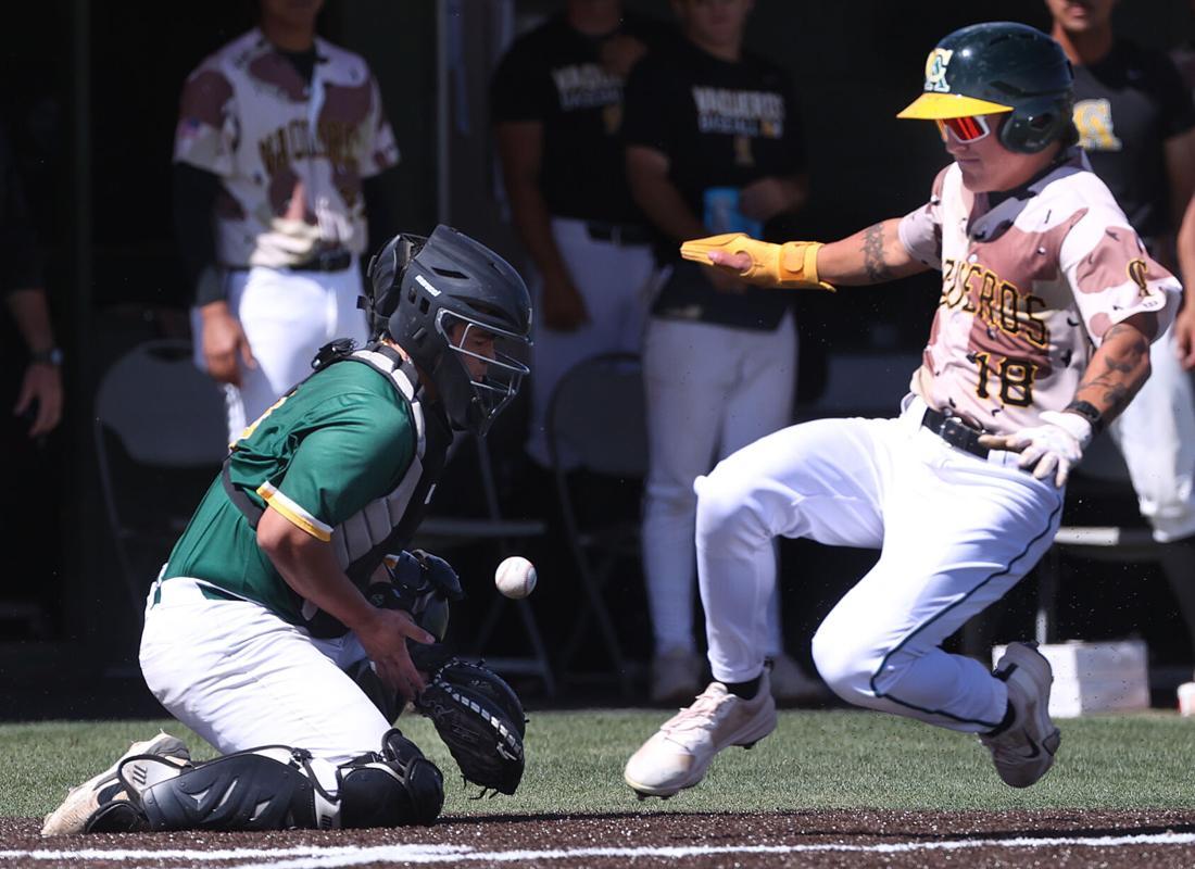 Central Arizona splits DH with Yavapai | Local Sports | pinalcentral.com