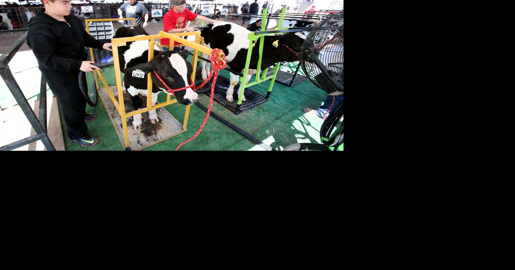 Pinal County Fair begins 5-day run | Recreation And Entertainment ...