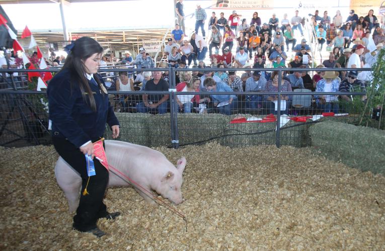 Pinal County Fair | Featured | pinalcentral.com