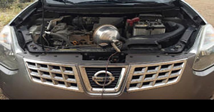 Neotoma albigula pack-full of mischief | News | pinalcentral.com