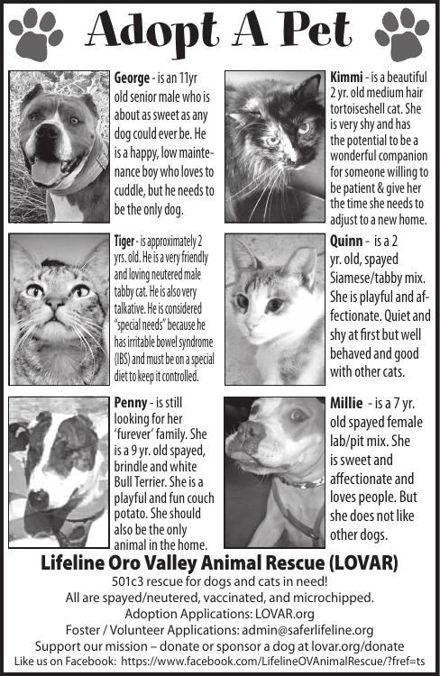 Lifeline Oro Valley Animal Rescue (LOVAR), 9/7/23 | Adopt A Pet ...